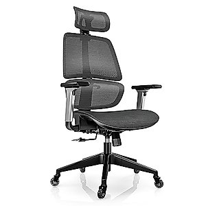 LINSY HOME High-Back Office Chair, Swivel Ergonomic Task Chair with Adjustable Headrest and Arms, Lumbar Support and PU Wheels, Computer Mesh Chair for Home Office, Dark Grey