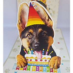 German Shepherd Dog 3D Birthday Funny Pop Up Cards, German Shepherd Dog 3D Birthday Pop Up Cards, Happy Birthday Lovely Cards for German Shepherd Lovers