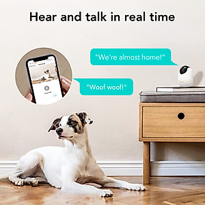 Netvue Indoor Camera, Enhanced Security Camera with Advanced AI Skills for Pet/Baby/Nanny, 1080P FHD 2.4GHz WiFi Night Vision Home Camera, 2-Way Audio Dog Camera Cloud Storage/TF Card, Black