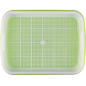 ZEONHAK 8 Pack Seed Sprouter Tray, BPA Free, Big Capacity Seed Germination Tray, Healthy Wheatgrass Seeds Grower with Lid for Growing, Bean Sprouts, Cat Grass, Wheat Grass, Mung Beans