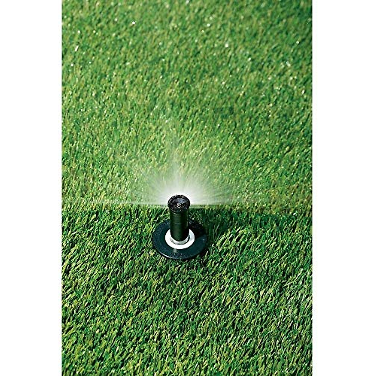 Rain Bird 1802AP8PRS Pressure Regulating (PRS) Professional Pop-Up Sprinkler, Adjustable 0 - 360° Pattern, 6' - 8' Spray Distance, 2" Pop-up Height