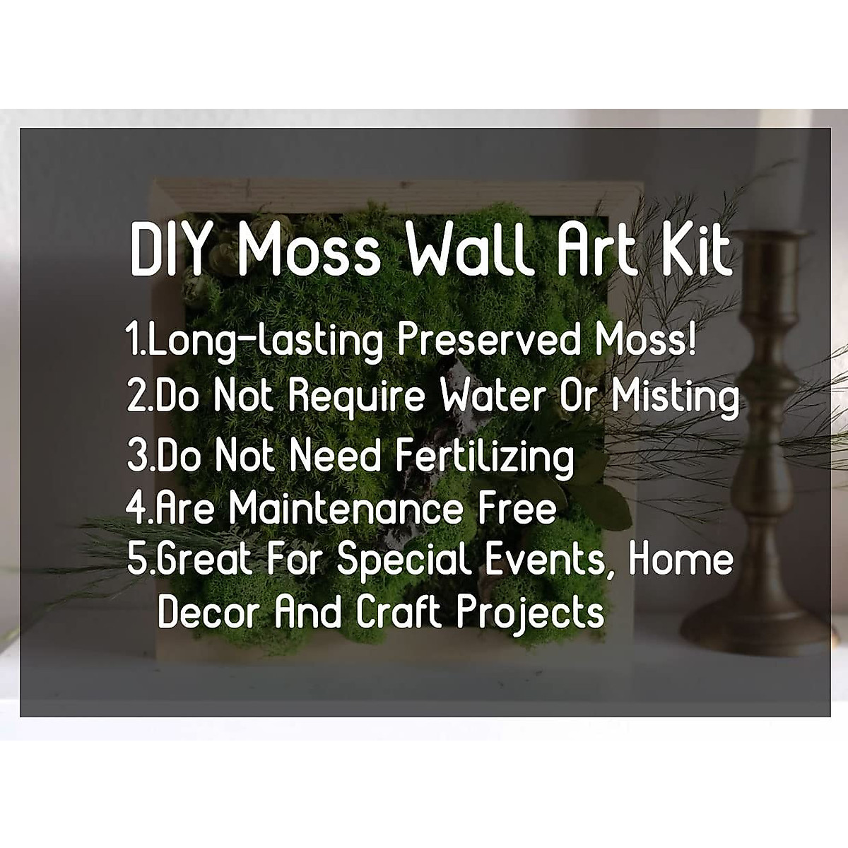 Prefleur Preserved Reindeer Craft Moss Natural Green DIY Kit Gardenning Art Wall Florist Easter Table Wedding(0.85lb)(Green-05)