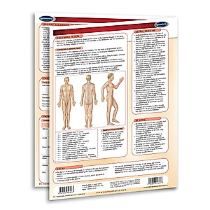 Traditional Chinese Medicine Guide - Quick Reference Guide by Permacharts