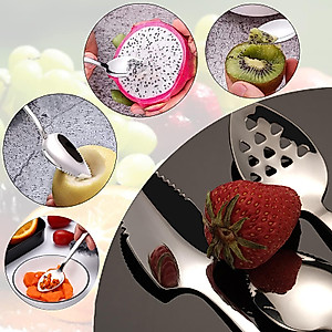 Grapefruit Spoon 6PCS Set,2 Grapefruit Spoons with Serrated Edge Made of Stainless Steel,2 Grapefruit Spoon with Holes.2 Grapefruit Knife Grapefruit Utensil Set pack of 6