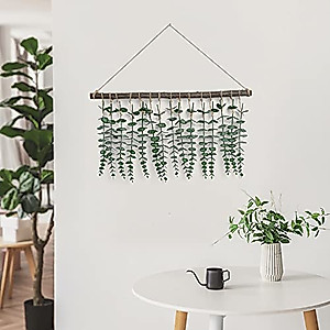 Artflower Eucalyptus Hanging Wall Decor, Artificial Eucalyptus Vines and Greenery Wall Hanging Plants Farmhouse Boho Wall Decor for Bedroom, Kitchen, Office and Bathroom(19.7" x 10")