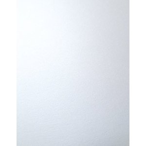Crystal White Stardream Metallic Cardstock Paper - 8.5 X 11 Inch - 105 Lb. / 284 Gsm Cover - 25 Sheets From Cardstock Warehouse