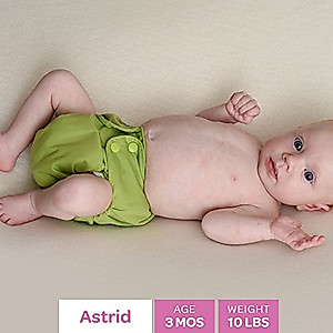 Blueberry One Size Simplex All in One Cloth Diapers, Made in USA (Picnic)