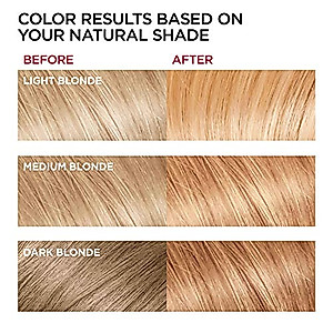 L'Oreal Paris Superior Preference Fade-Defying + Shine Permanent Hair Color, 9GR Light Golden Reddish Blonde, Pack of 1, Hair Dye