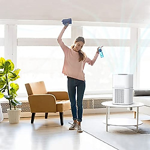 HEPA Air Purifiers for Home Large Room, CADR 300+m³/h 1290ft², H13 true HEPA filter remove 99.97% of dust, mold, allergies, odor, pets hair dander, smoke, pollen