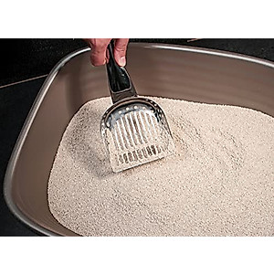 RSVP International Endurance Collection Stainless Steel Kitty Litter Scoop, 4.75x2.5x11.25