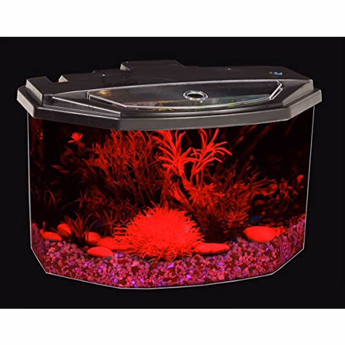 Koller Products Plastic 3-Gallon Aquarium Starter Kit with 7 Colors LED Lighting and Complete Filtration, Ideal for a Variety of Tropical Fish , Betta Fish, Tropical Fish, Cichlids, Ornamental Shrimp