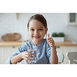 Lake Industries Stainless Steel Countertop Lead Reduction Water Purifier Filter (.5 Micron Carbon Block)