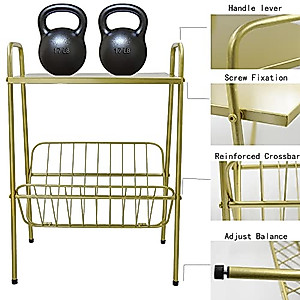 Jbikao Side Table, Gold End Table with Magazine Holder, Record Player Stand with Storage, Bedside Table Nightstand for Living Room, Bedroom, Office, Metal