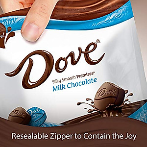 Dove Promises Milk Chocolate Candy Bag, 15.8 Oz