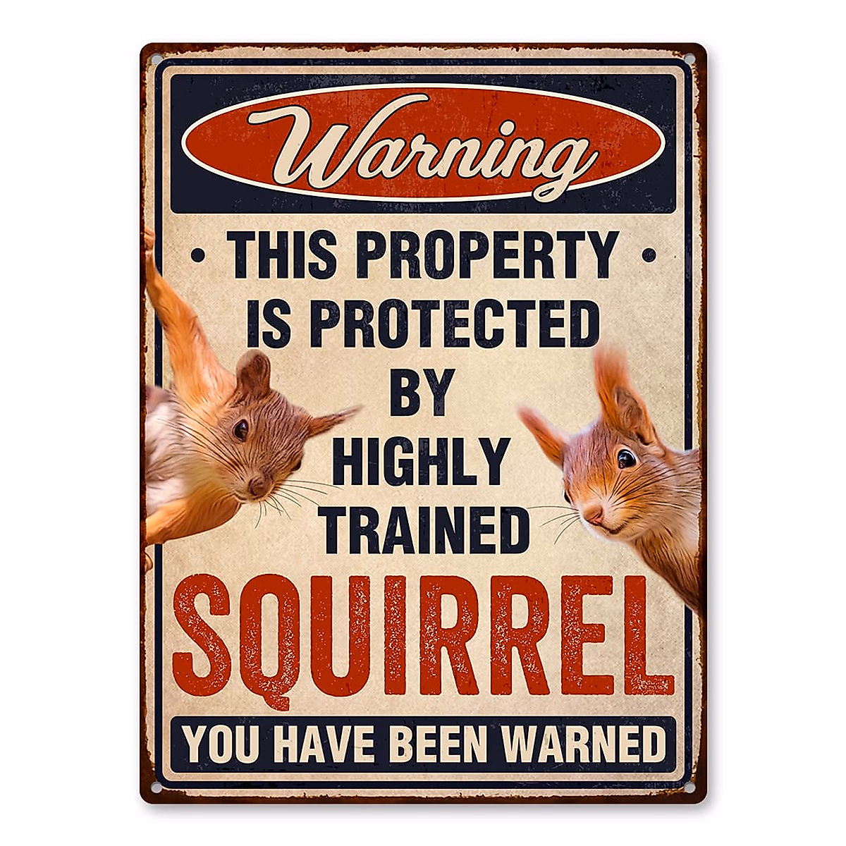 Funny Squirrels Sign, Warning Squirrel Gifts for Squirrel Lovers, Aluminum Sign Rust Free 9" X 11", Pre-Drilled Holes, Weather Resistant