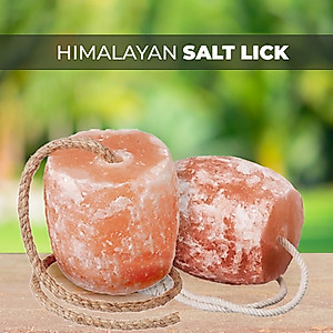 Himalayan Salt Lick 4-5 lbs | Pack of 4 | Salt Lick Deer | Licking Salt for Horses |Himalayan Licking Salt for Animals | Deer Salt Lick Block | Block Salt on Rope.