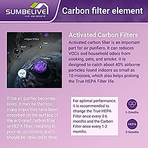 Sumbelive D360 Replacement Filter D3 for Winix D360 Air Purifier,Item Number 1712-0101-02. 2 True HEPA Filter + 8 Carbon pre-Filters
