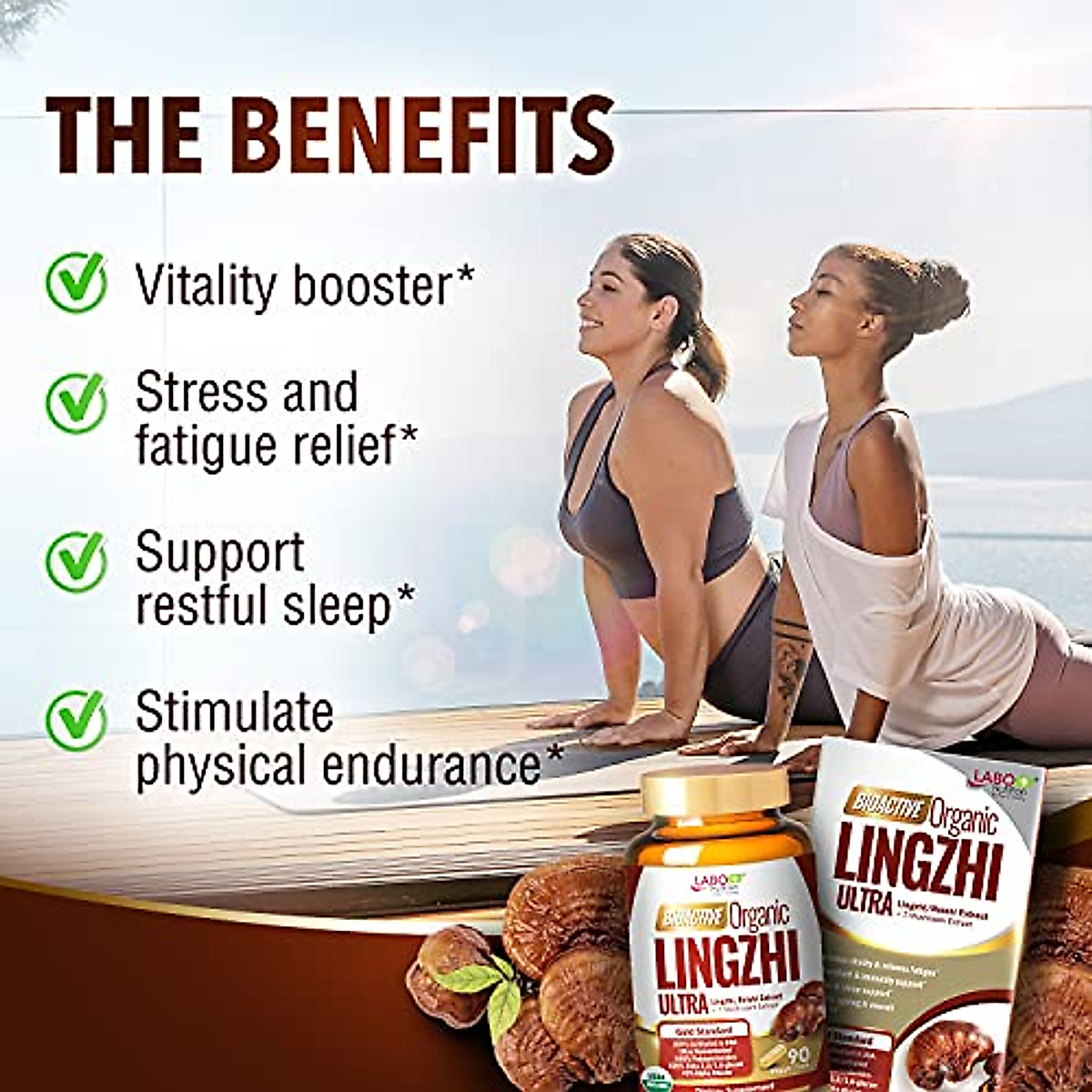 LABO Nutrition Bioactive Organic Lingzhi / Reishi Ultra for Immune Support, Vitality, USDA Organic, 7 Medicinal Mushroom Supplement, Cordyceps, Maitake, Turkey Tail, Agaricus blazei Murill, Shiitake