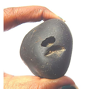 XUETZALCOATL Padmanabha Damodara Shaligram Sudarshan Shaligram 1.5cm - 2.5cm from Kali Gandaki 1 pcs