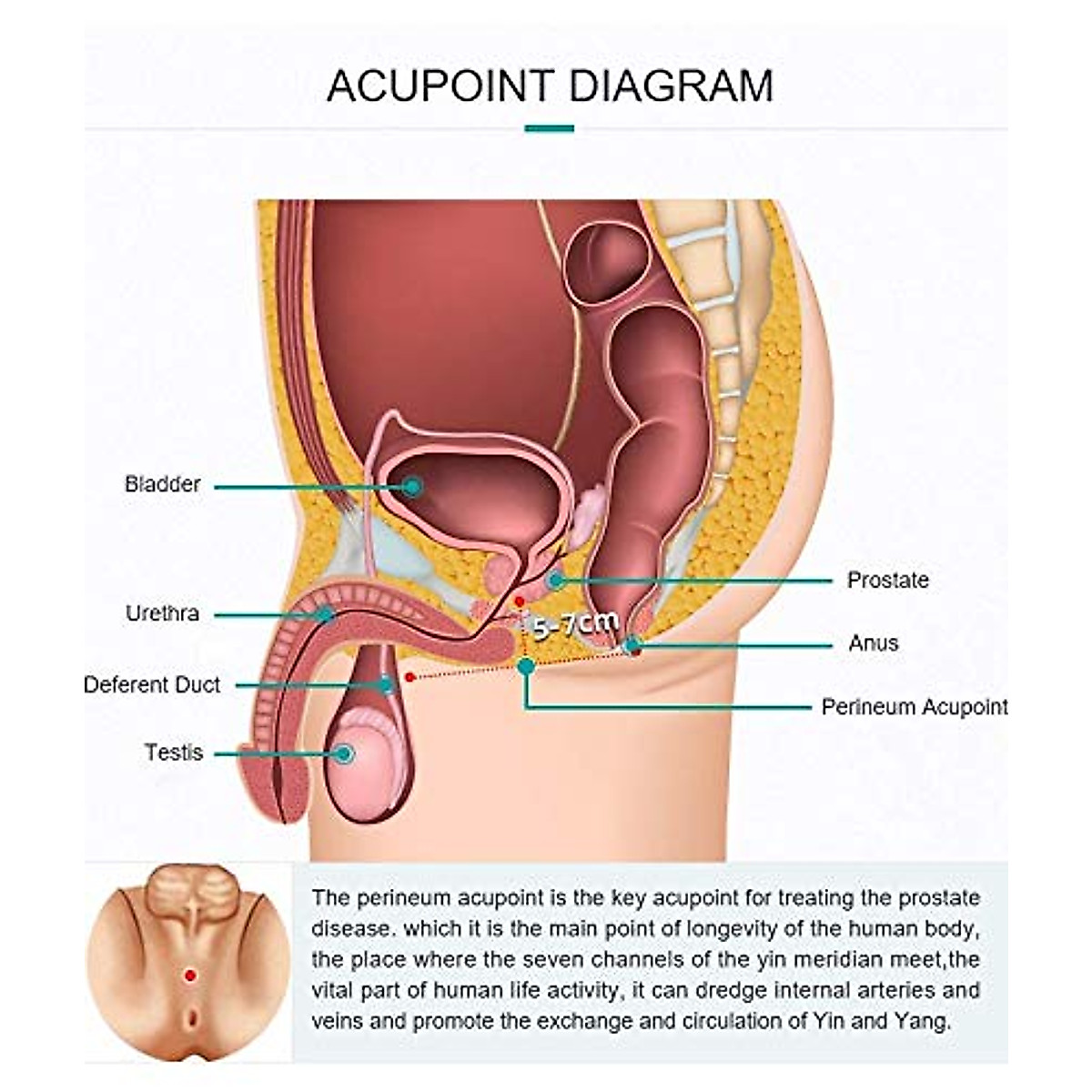 Prostate Gland Health Care Device for Men Prostatitis Pelvic Inflammation