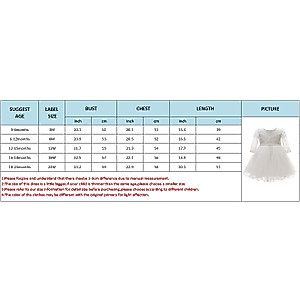 Happy Cherry Baby Girls Long Sleeves Tulle Tutu Dress Christening Baptism Gowns Size 12M - White