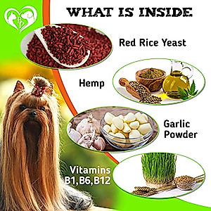 Flea and Tick Prevention Chewable Pills for Dogs - Revolution Oral Flea Treatment for Pets - Pest Control & Natural Defense - Chewables Small Tablets Made in USA… (Bacon)