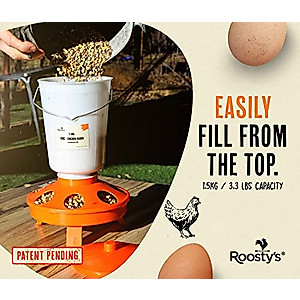 Roosty's Chick Feeder and Waterer Kit, Chicken Feeder and Waterer Set, 1.5kg Poultry Feeder and 1.5L Chick Waterer - Baby Chick Feeder, Baby Chick Waterer, Chicken Starter Kit, Baby Chicken Supplies