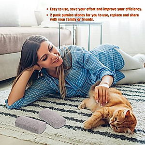 2 Pieces Pet Hair Remover for Cat Hair Removal Pumice Stone Tool Carpet Dog Fur Removal Tool for Car Couch Furniture Bedding Easy to Clean (4 Inches)