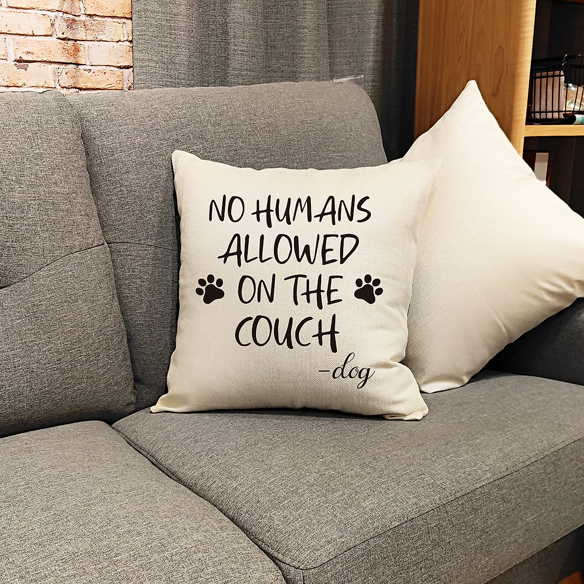 No Humans Allowed on The Couch Dog, Dog Lovers Gift Decorative, Throw Pillow Cover, Funny Dog Owner Gifts, Christmas Birthday Gift, Square Pillowcase Decoration for Sofa Bedroom-8L109