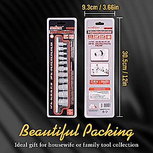 HORUSDY 11 Pc Female E Torx Star Socket Set/Rail, Female External Star Socket Set E4 - E20 Torque Socket Set