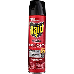Raid Ant & Roach Killer Outdoor Fresh Cans 12 oz. (Pack of 3)