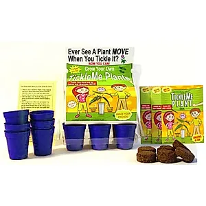 TickleMe Plant Greenhouse Garden Kit Grow The Only House Plant That Closes Its Leaves and Lowers It Branches When You Tickle It. Unique Nature or Birthday Science Idea for Kids