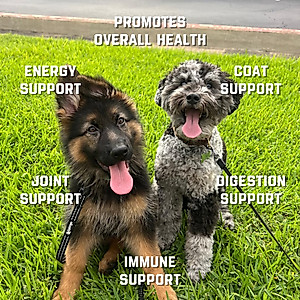 PupVital Multivitamin Treats for Dogs - Glucosamine for Joint Support + Salmon Oil for Skin & Coat Health + Immune Health - Roast Beef Flavor - 90ct