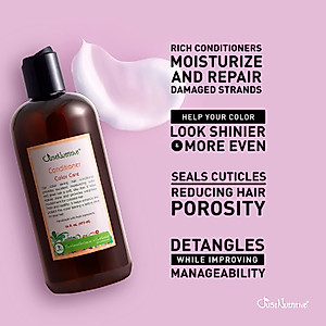 Color Care Conditioner | Best Conditioner for Color Treated Hair | Refreshes For Vibrant Color