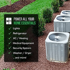 DuroMax XP13000HX Dual Fuel Portable Generator - 13000 Watt Gas or Propane Powered - Electric Start w/ CO Alert, 50 State Approved, Blue