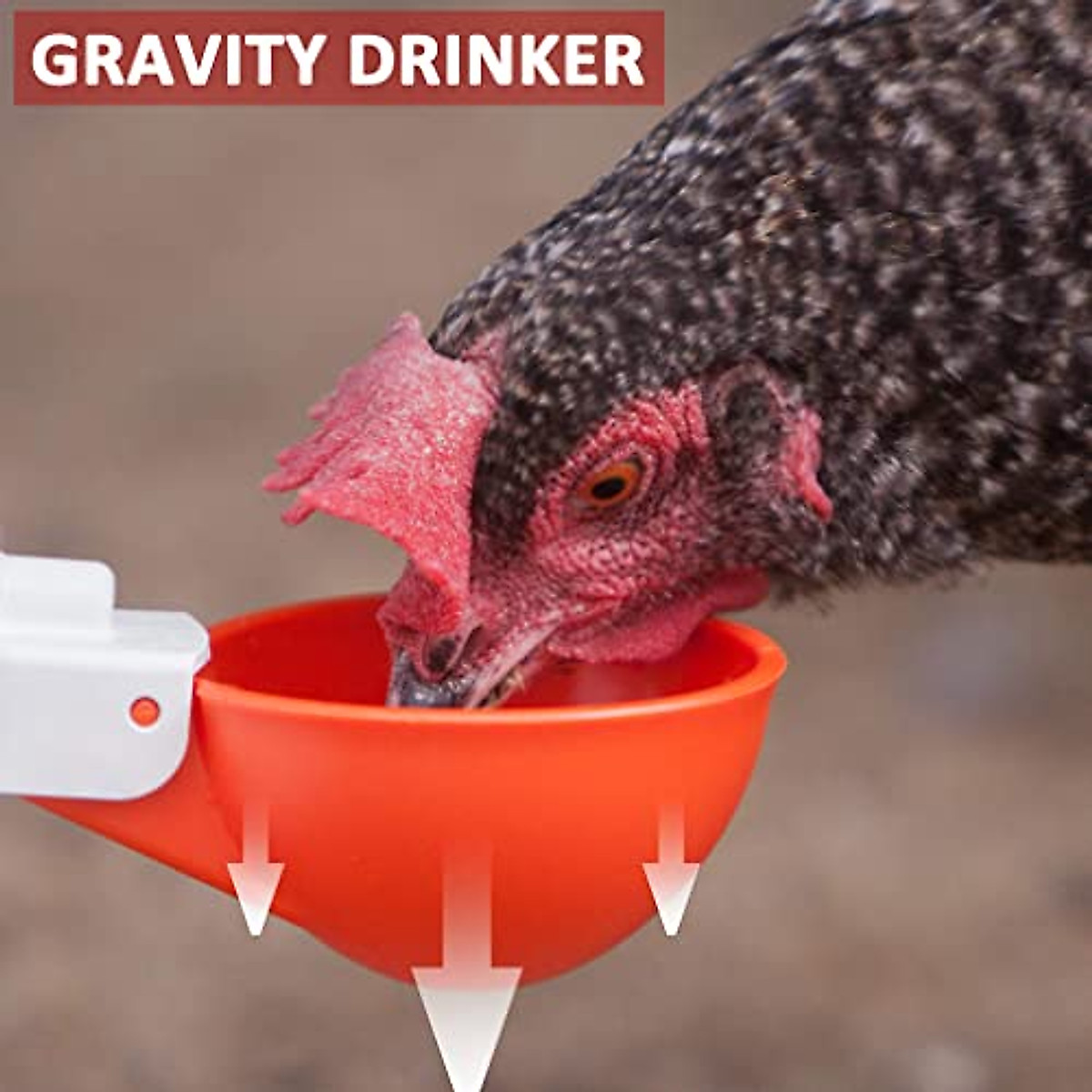 Chicken Waterer Cups, 5 Pack Poultry Watering Cup with 1/2'' PVC Tee Fittings - Gravity Automatic Chicken Waterer - Chicken Waterer for Chicken Ducks Quail