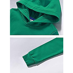 ZiweiStar Girls Boys' Crewneck Sport Long Sleeve Cotton Casual Solid T-Shirt Pullover Tops Kids' Hooded Youth Sweatshirt