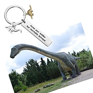 bobauna Curse Your Sudden But Inevitable Betrayal Inspired keychain With Dinosaur Charm Travel Dinosaur Lover Gift (inevitable betrayal dinsour keychain)