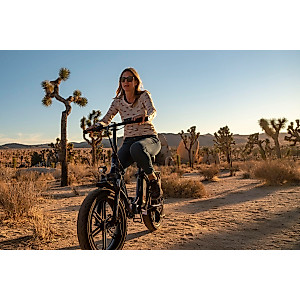 EMOJO RAM SS Street 750W Folding Electric Road Bike for Adults 20 Inch Fat Tire Outdoor E Bike with 48V 10Ah Lithium Battery 20MPH 30 Miles Pedal Assist E Bicycle 7 Speed and LCD Display (Black)