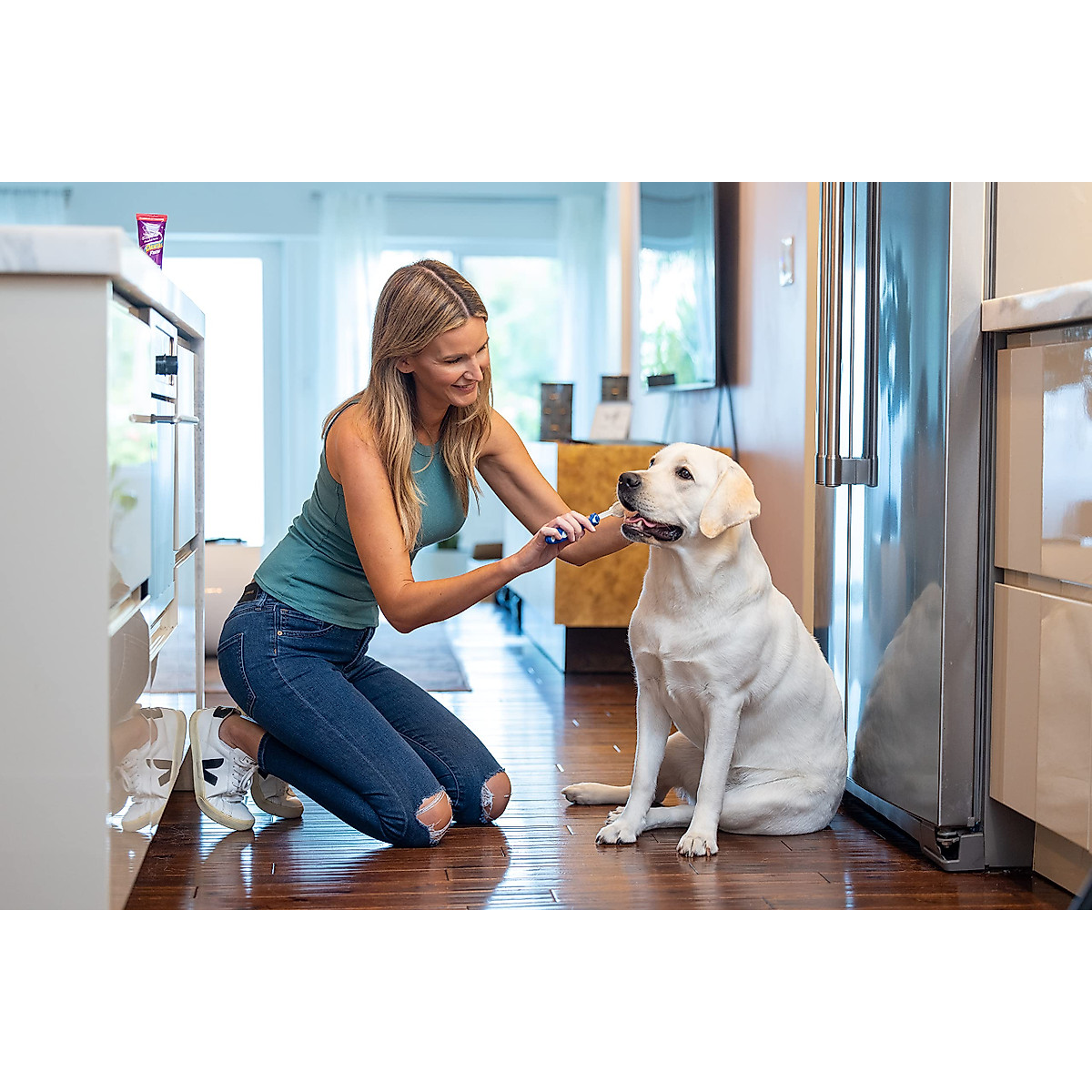 Dental Fresh Enzymatic Gel Dog Tooth Brushing Kit, Includes Triflex Toothbrush – Dog Toothbrush and Toothpaste for Dog Teeth Cleaning