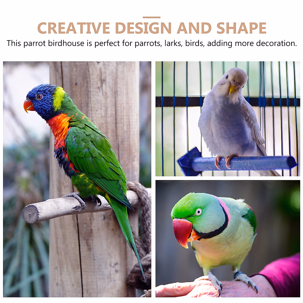 Ipetboom 1 Set Bird Nest Parrot Nest Parrot Bird House Parrot Birdcage Sleeping Bird Bed Decorative Bird House Coconuts Shell Birdcage Decorative Birdcage Resting Bird House Resting Nest