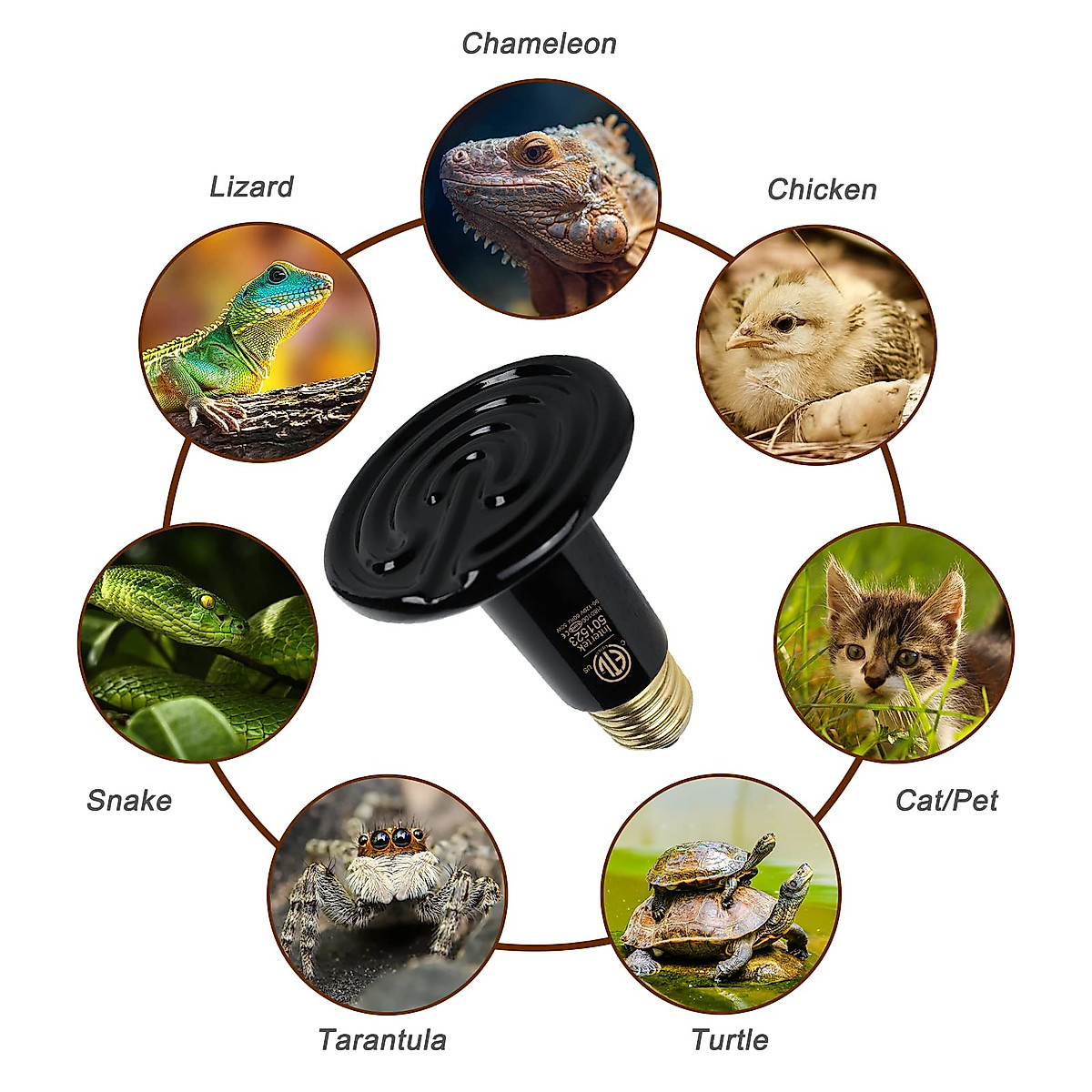 WUHOSTAM 50W 2 Pack Ceramic Heat Lamp,Black Infrared Bulb Emitter Lamp for Pet Coop Heater Reptile Chicken Lizard Turtle Brooder Bulb Temperature Adjustable No Harm No Light ETL Listed