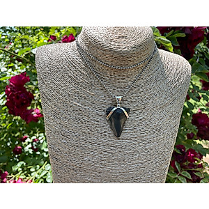 Starborn Fossil Shark Tooth Pendant in Sterling Silver - MD