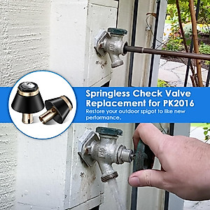 Ceoighe 2 Pack Springless CHK Valve Replacement for PK2016 420 Series, Springless Check Assembly Compatible with Arrowhead Frost-Proof Wall Hydrants, Repair Parts for Stem Assembly