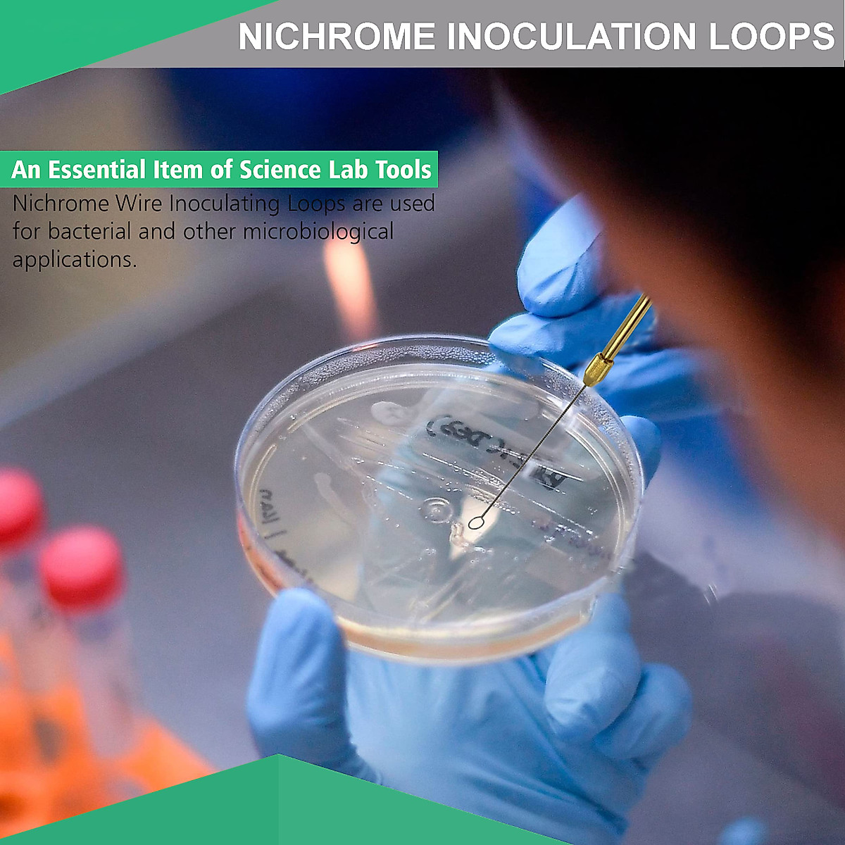 Edu-Labs Reusable Inoculating Loop with Unique Replaceable Nichrome Needle Tip Inoculation Rings Inoculation Rod for Lab (Replaceable Loops with Handle)