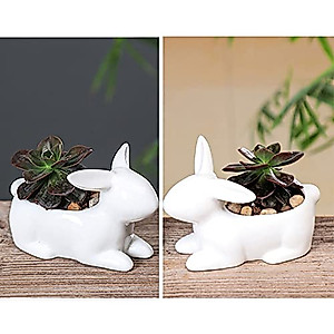 YONGYAN Rabbit Flower Pot Statue Decoration Ceramics Garden Planters Containers Pot Bookshelf Office Animal Desktop Decor