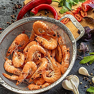 9" Large Fine Mesh Strainer with Sturdy Handle - Sieve Fine Mesh Stainless Steel - Ideal Quinoa Strainer