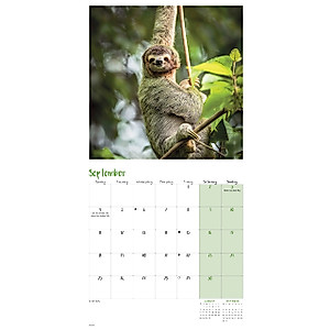 2023 Sloths Mini Calendar