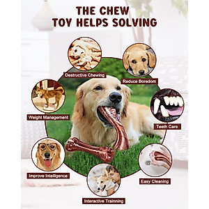 GEE BON Dog Toys, 2 Pack Nylon Chew Bones for Aggressive Chewers, Durable Dog Chew Toy for Large Medium Dogs, Chicken & Peanut Flavor, Helps Dental Health, Pet Toy Gift