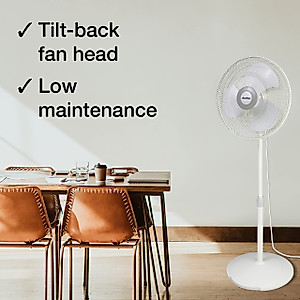 Air King 9126 16-Inch Adjustable Oscillating Pedestal Fan